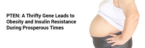 Pten Gene And Its Role In Obesity And Insulin Resistance