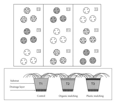 Experimental Design In A Complete Randomized Block And The Proportions