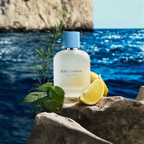 Dolce And Gabbana Light Blue Pour Homme Eau De Toilette Parfum Ici
