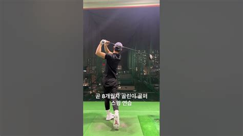 8개월차 골린이 스윙 일기 골프 골프스윙 골린이성장일기 드라이버스윙 아이언스윙 골린이 Youtube