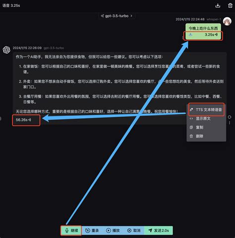 Whisper Tts 语音 文字互转 Openai Hk