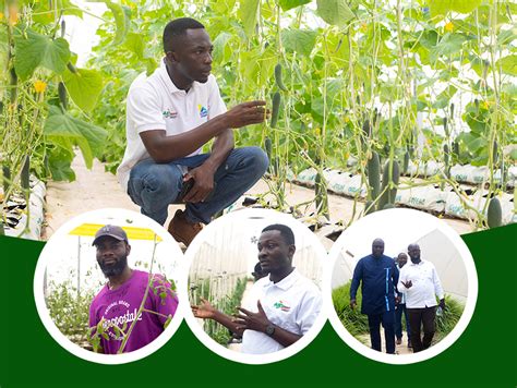 Income Generation And Livelihood Development Project Igldp Agri