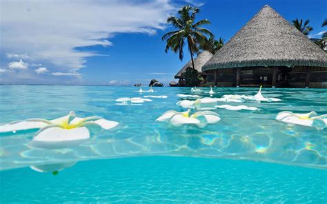 100 Beach Zoom Backgrounds