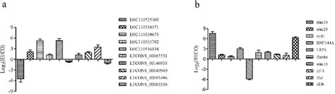 validation of expression of selected de lncrnas a and de mrnas b