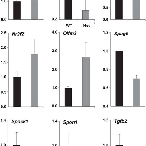 Verification Of Microarray Results By Qrt Pcr Relative Expression