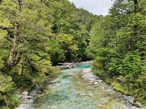 Hiking The Rees Dart Track How To Guide