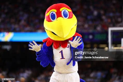 Kansas Jayhawks Mascot Photos And Premium High Res Pictures Getty Images