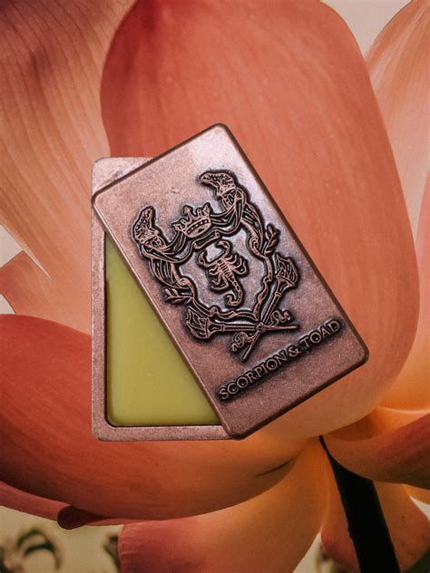 The Fox And The Crow Scorpion And Toad