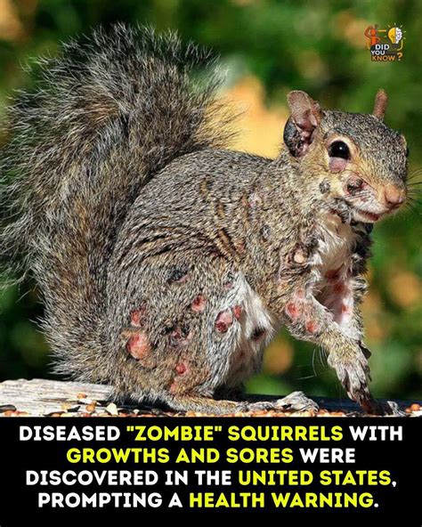 Did ⚠️ Warning Wildlife Experts Have Raised An Alert After Reports