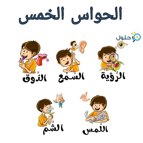 معلقات الحواس الخمس 3 نماذج