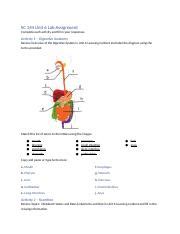 SC144 Unit 6 Lab Assignment Form 1 Docx SC 144 Unit 6 Lab Assignment