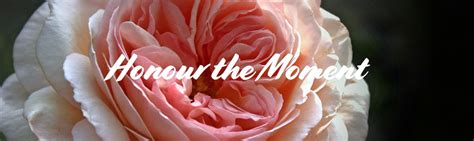 delivery semaphore south australia semaphore florist