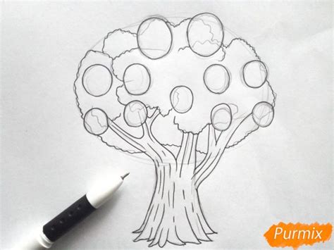 Как нарисовать семейное дерево пошагово шаблоны инструкции оригинальные задумки родословное