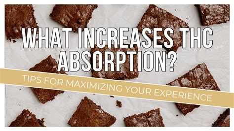 What Increases Thc Absorption Maximize Your Experience