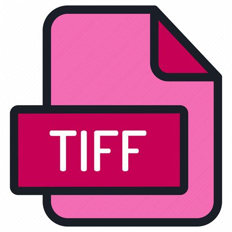 File Folder Format Type Archive Document Extension Icon