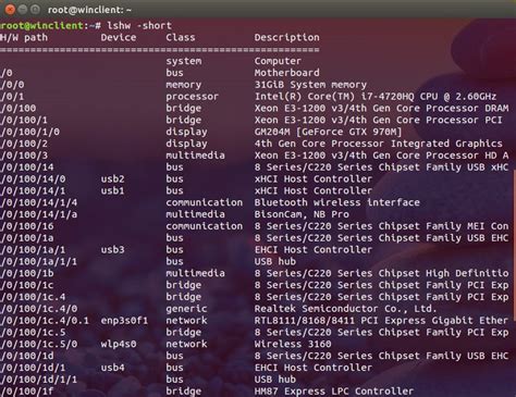 如何在linux上使用命令行查看硬件信息 系统极客