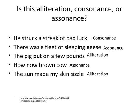 24 Assonance Examples In Poetry
