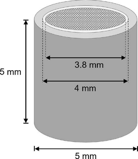 Geometry Of Cylindrical Specimens With Porous Core And Dense Skin Download Scientific Diagram
