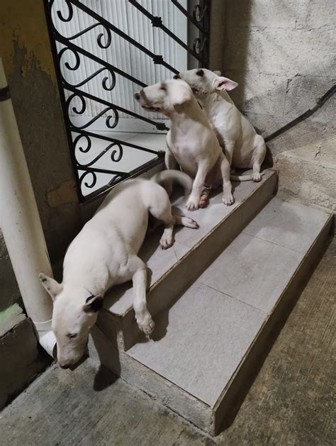 Mother Of Slash Mother Of Slash Added A New Photo