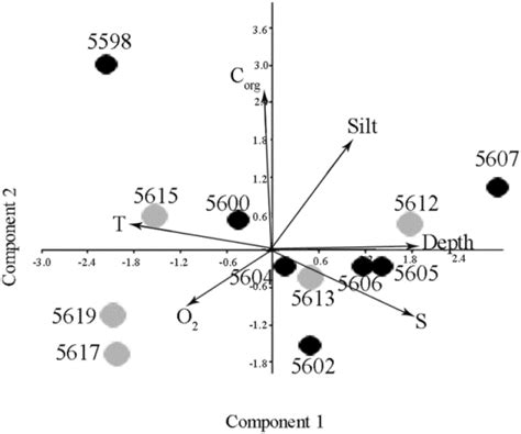 Principal Component Analysis Based On The Environmental Factors Depth Download Scientific