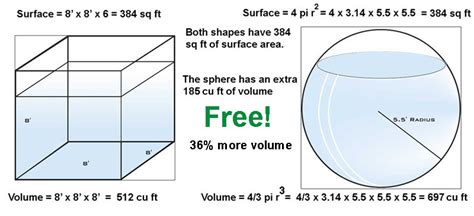 10 Good Reasons To Choose Turtle Tank Septic Solutions