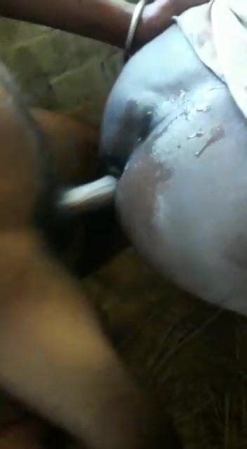 Sikh Man Gets Fucked In The Bund Xhamster