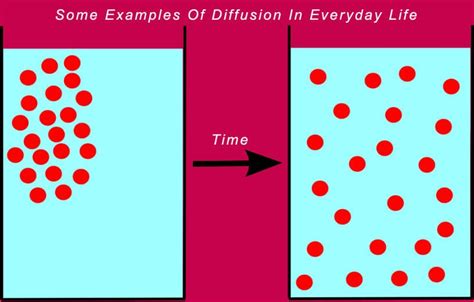 Diffusion Example