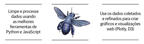 Visualização De Dados Com Python E Javascript Raspe Limpe Explore E