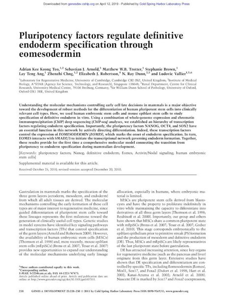 Pdf Pluripotency Factors Regulate Definitive Endoderm Specification Through Eomesodermin