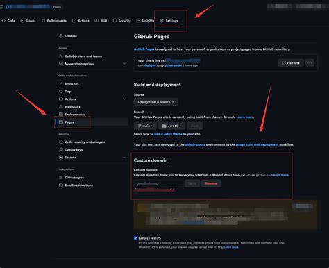 Custom A Domain For This Github Page 为这个项目的github Page自定义一个域名 · Issue