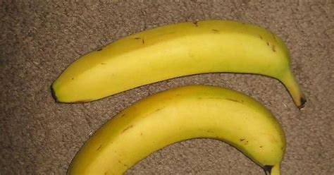 For Scale Meme On Imgur