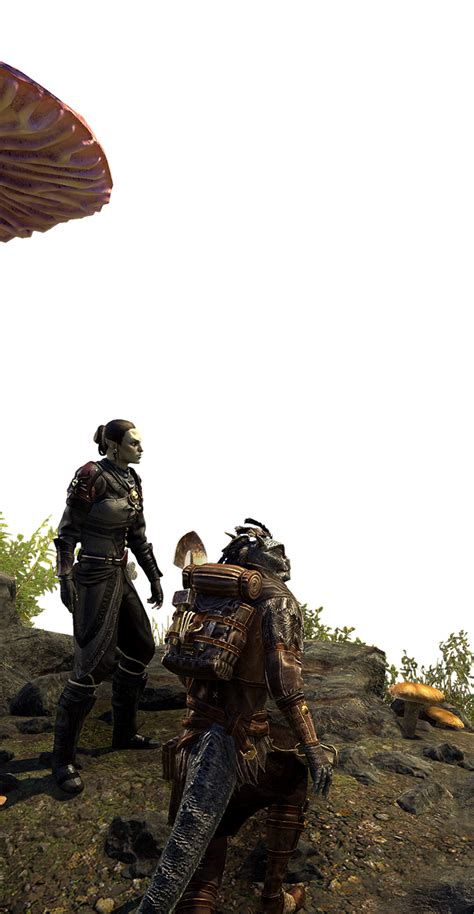 上古卷轴ol：死灵之地 The Elder Scrolls Online