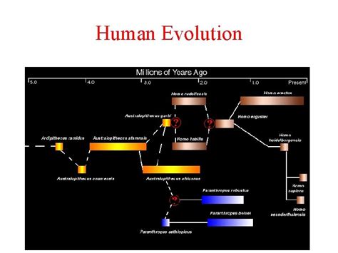 Bioinformatics Pattern Recognition Multivariate Statistics Patterns