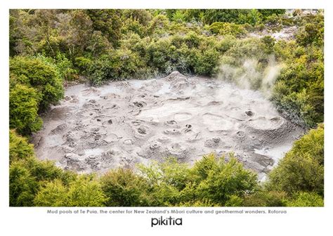 Postcard Of Mud Pools At Te Puia The Center For New Zealands Māori