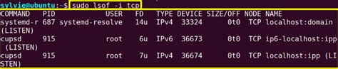 The Lsof Command In Linux Practical Examples