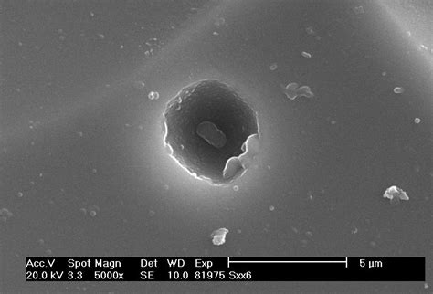 sem micrograph of solar cell defect sample a download scientific
