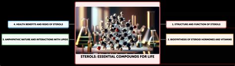 Sterols Essential Compounds For Life Algor Cards