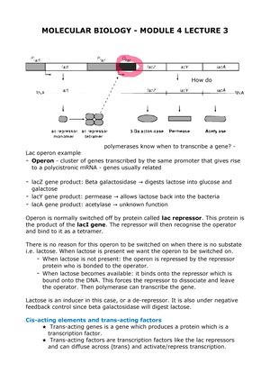 Module 4 Lecture 2 Notes MOLECULAR BIOLOGY MODULE 4 LECTURE 2