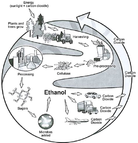 Book 19 Writing Task 1 Test 3 How A Biofuel Called Ethanol Is Produced