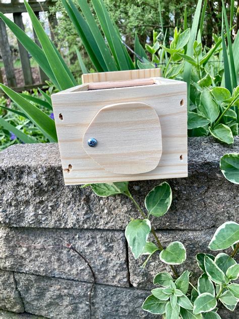 Carpenter Bee Traps Etsy