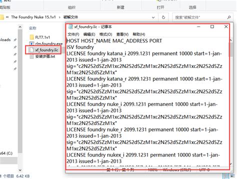 【亲测能用】the Foundry Nuke 15 1v1最新版【nuke 15破解版】英文免费版安装图文教程 3d溜溜网