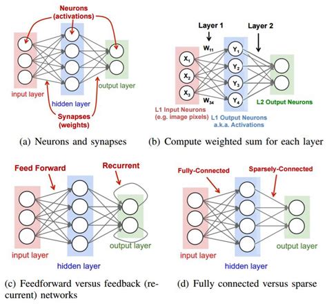 深度神经网络全面概述：从基本概念到实际模型和硬件基础