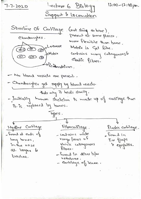 SOLUTION Skeletal System Bones Studypool