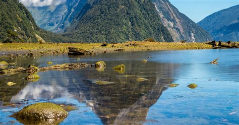 밀포드 사운드 뉴질랜드 마이터 피크mitre Peak는 뉴질랜드 남섬 피오르드랜드 국립공원에 있는 밀포드 사운드의 상징적인 랜드마크로 뉴질랜드에서 가장 아름다운