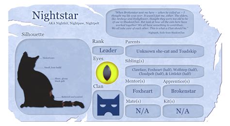 The Prophecies Begin Written And Visual Guide Warrior Cats