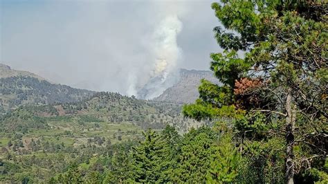 Incendio Consumió Por Lo Menos 30 Hectáreas Del Pico De Orizaba Continúan Trabajos De