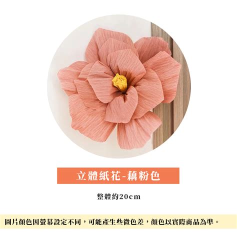 現貨 立體皺紙花婚房背景佈置WD0832 婚禮佈置 皺紋紙花 背景牆紙花 派對裝飾 立體仿真花 櫥窗背景裝飾 蝦皮購物