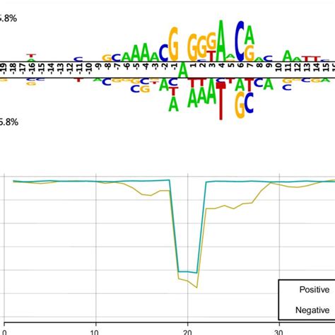 Nucleotide Composition Of Benchmark Dataset A Two Sample Logos Result Download Scientific