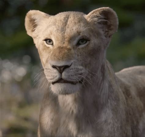 Hear Beyoncés Nala For The First Time In New Trailer For Live Action