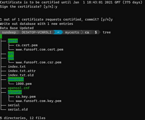 Creating Self Signed Certificates Using Openssl Tryst